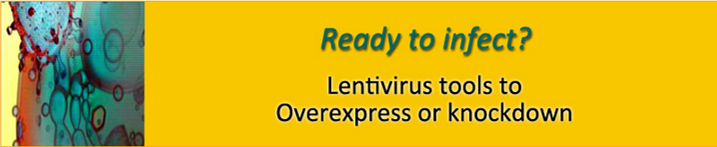 lv-solutions | 易锦生物 iGeneBio