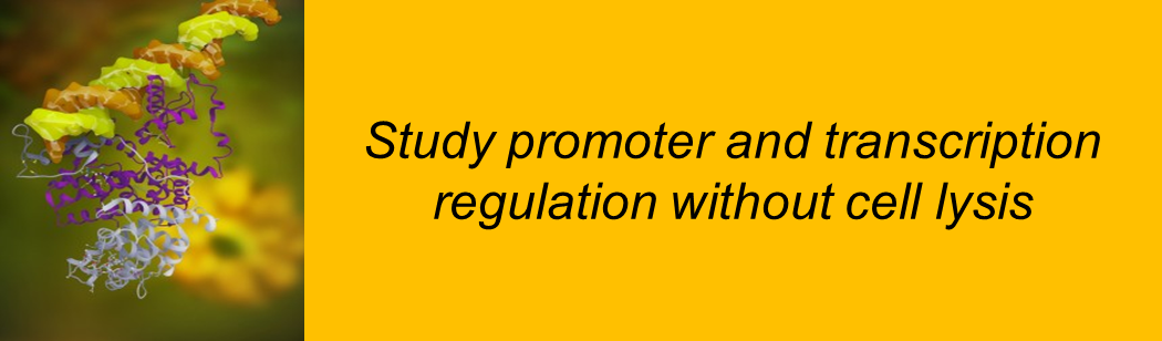 Study promoter | 易锦生物 iGeneBio