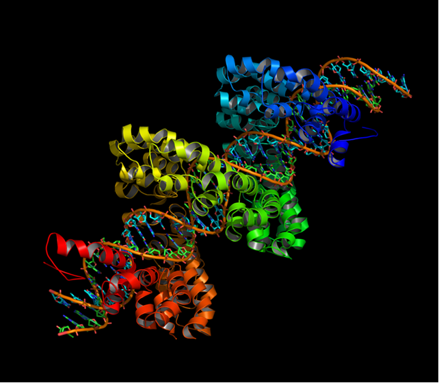TALEN-TALE-TF | 易锦生物 iGeneBio