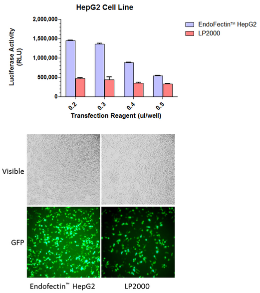 hepg2 | 易锦生物 iGeneBio