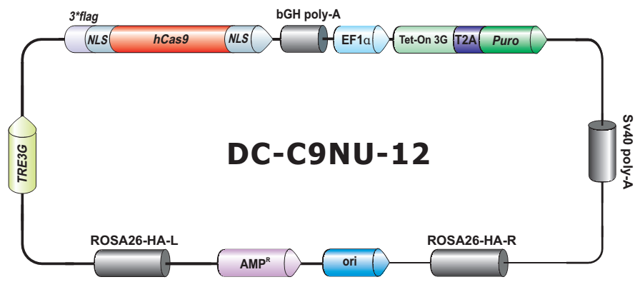 DC-C9NU-12 | 易锦生物 iGeneBio
