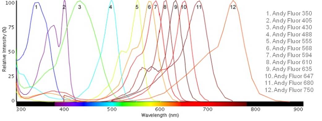 Andy Fluor™和Cy® Dyes系列荧光染料 | 易锦生物