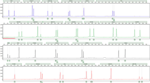 STR-electropherogram | 易锦生物 iGeneBio