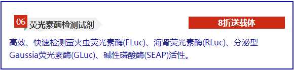6luciferase | 易锦生物 iGeneBio