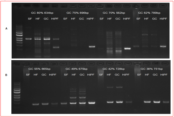 不同GC含量 | 易锦生物 iGeneBio