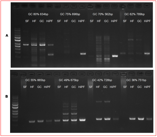 不同GC含量 | 易锦生物 iGeneBio