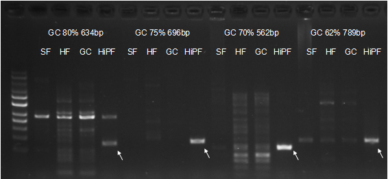 HiPF不同GC含量1 | 易锦生物 iGeneBio