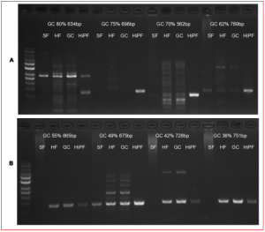 不同GC含量 | 易锦生物 iGeneBio