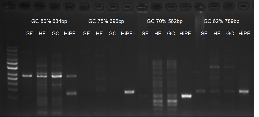 不同GC含量1 | 易锦生物 iGeneBio