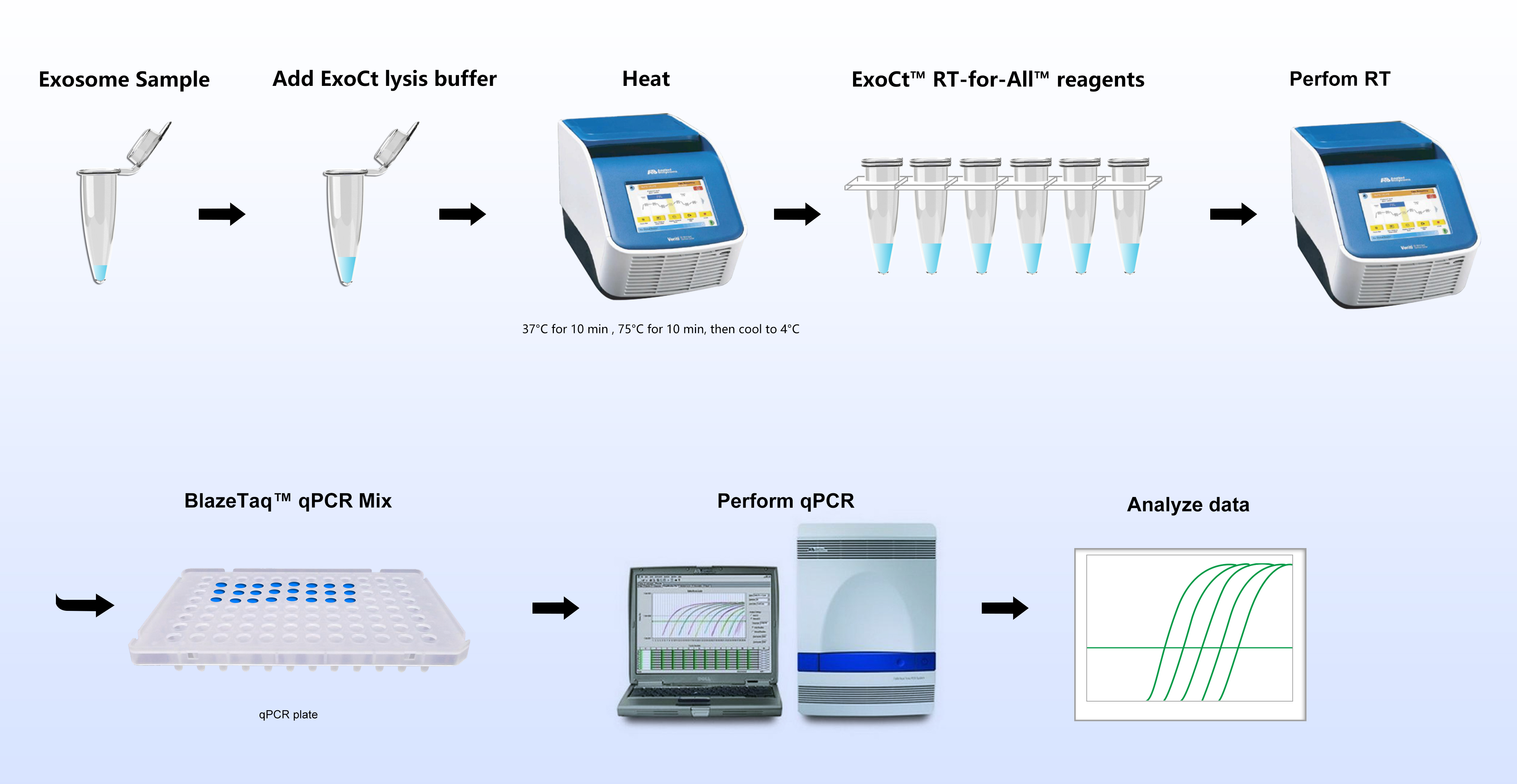 ExoCt™ RT-qPCR System | 易锦生物 iGeneBio