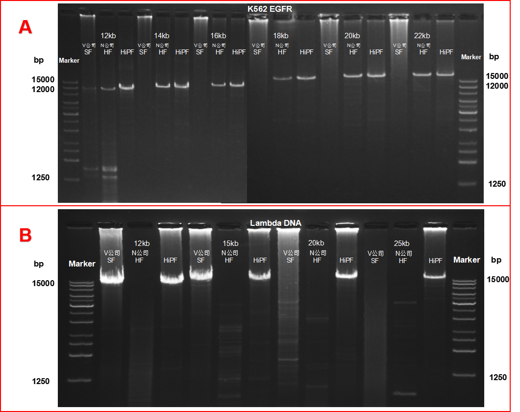 PC018-10C | 易锦生物 iGeneBio