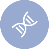 慢病毒-qPCR-转染试剂-Crispr基因编辑 -腺相关病毒-稳定细胞系-易锦生物技术有限公司