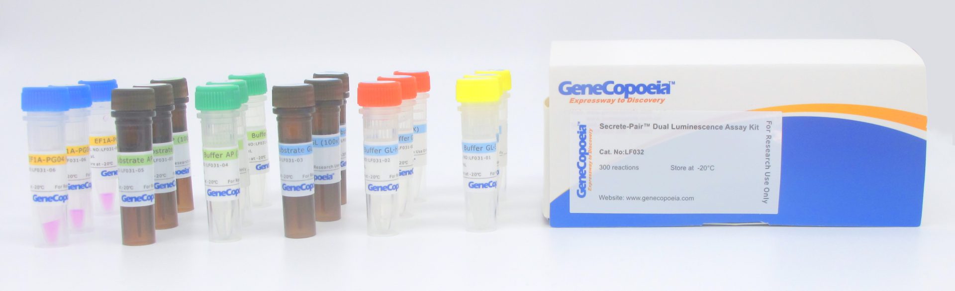 LF032 (2) | 易锦生物 iGeneBio