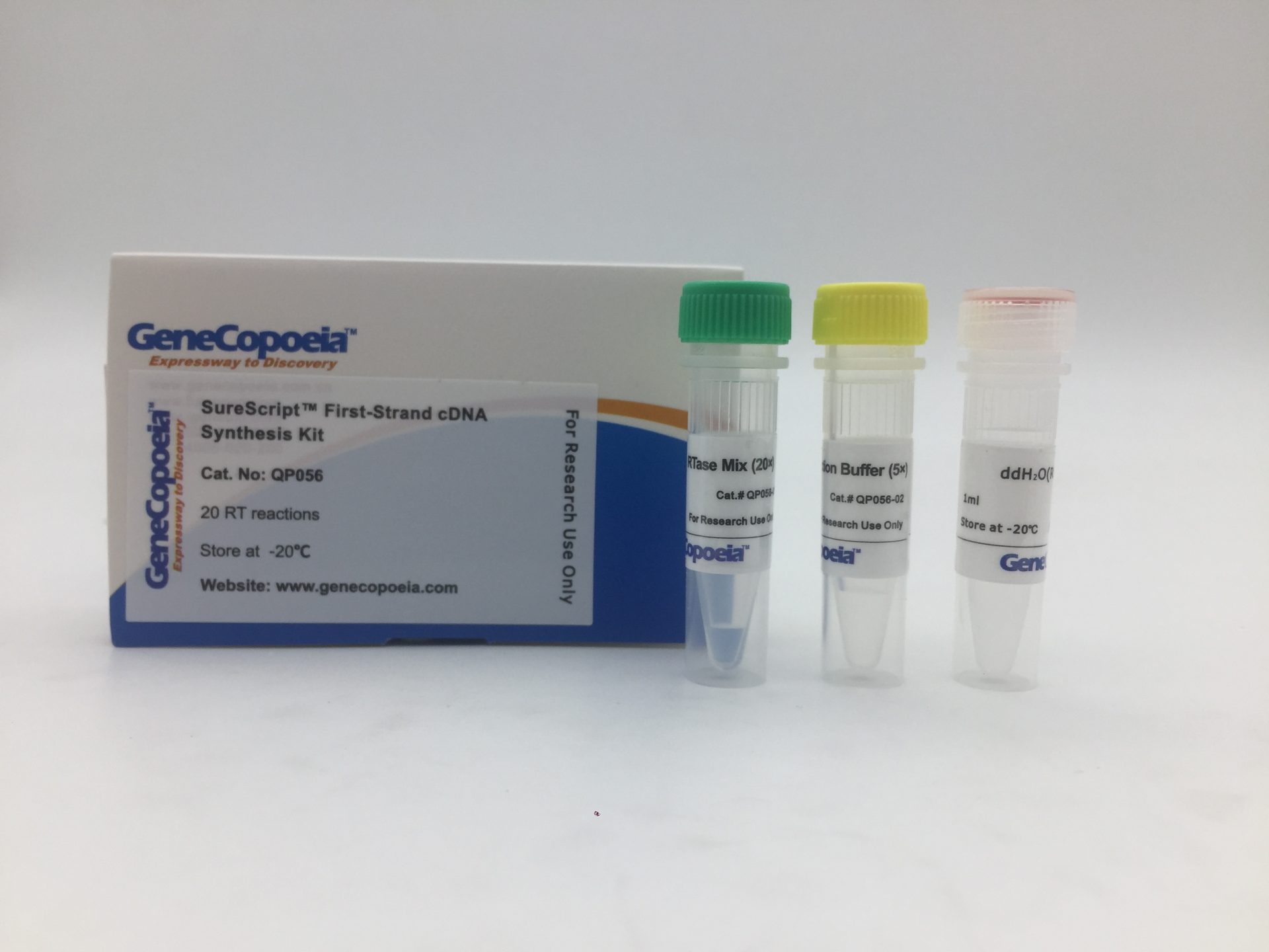 SureScript™ cDNA第一链合成试剂盒（逆转录试剂盒） | 易锦生物 iGeneBio