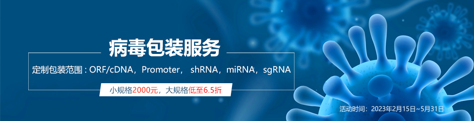 慢病毒-qPCR-转染试剂-Crispr基因编辑 -腺相关病毒-稳定细胞系-易锦生物技术有限公司