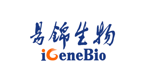 RNAzol® RT RNA Isolation Reagent | 易锦生物 iGeneBio