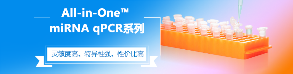 慢病毒-qPCR-转染试剂-Crispr基因编辑 -腺相关病毒-稳定细胞系-易锦生物技术有限公司