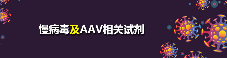 慢病毒-qPCR-转染试剂-Crispr基因编辑 -腺相关病毒-稳定细胞系-易锦生物技术有限公司