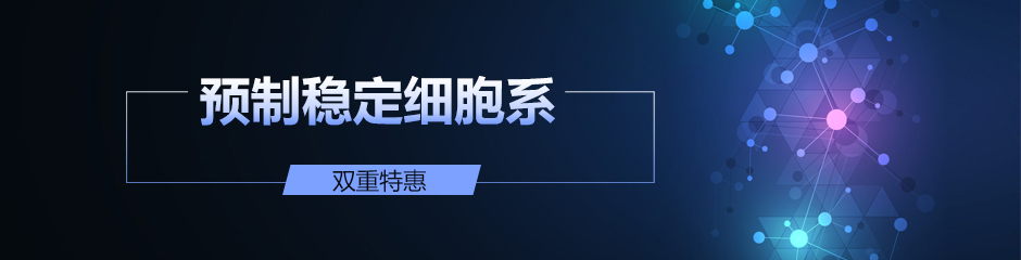 慢病毒-qPCR-转染试剂-Crispr基因编辑 -腺相关病毒-稳定细胞系-易锦生物技术有限公司