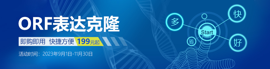 慢病毒-qPCR-转染试剂-Crispr基因编辑 -腺相关病毒-稳定细胞系-易锦生物技术有限公司