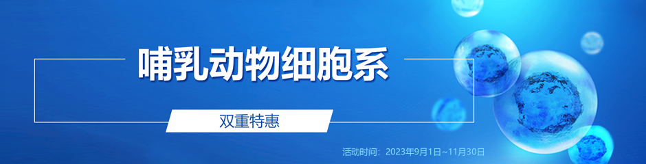 哺乳动物细胞系–20230901 | 易锦生物 iGeneBio