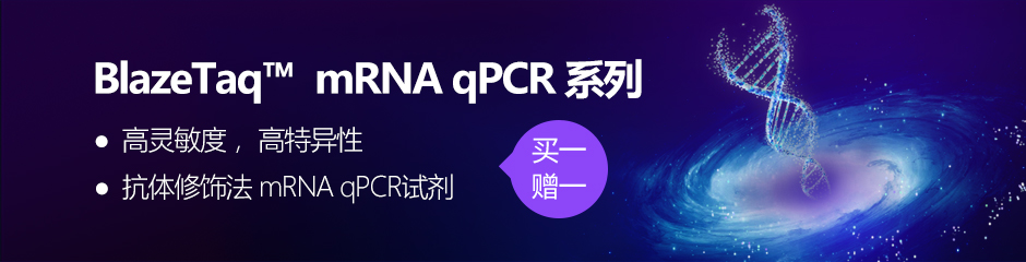 BlazeTaq™–mRNA-qPCR-系列–20231204 | 易锦生物 iGeneBio