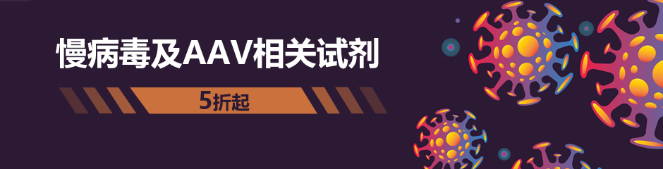 慢病毒及AAV相关试剂–20231204 | 易锦生物 iGeneBio