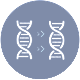 s1a | 易锦生物 iGeneBio