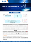 BlazaTaq™ mRNA qPCR系列–20240723 | 易锦生物 iGeneBio