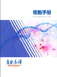 细胞手册 | 易锦生物 iGeneBio