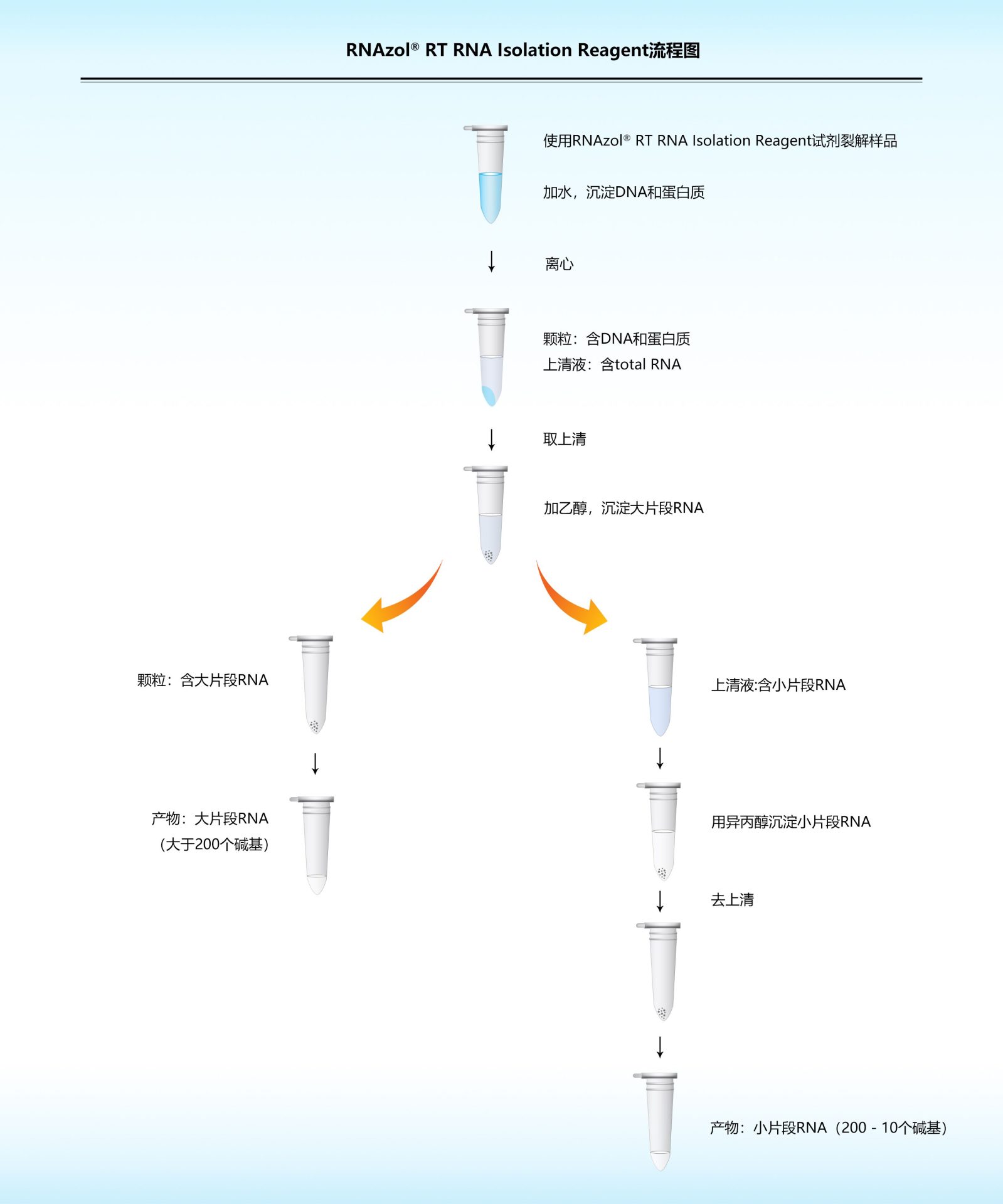 RNAzol® RT RNA Isolation Reagent | 易锦生物 iGeneBio
